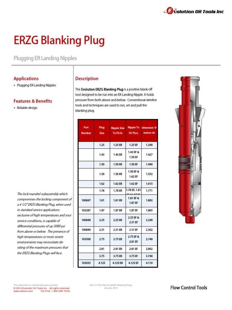 ERZG Blanking Plug Technical Datasheet | PDF | Nature