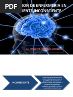 Nanda Nic Noc | PDF | Dolor | Cerebro