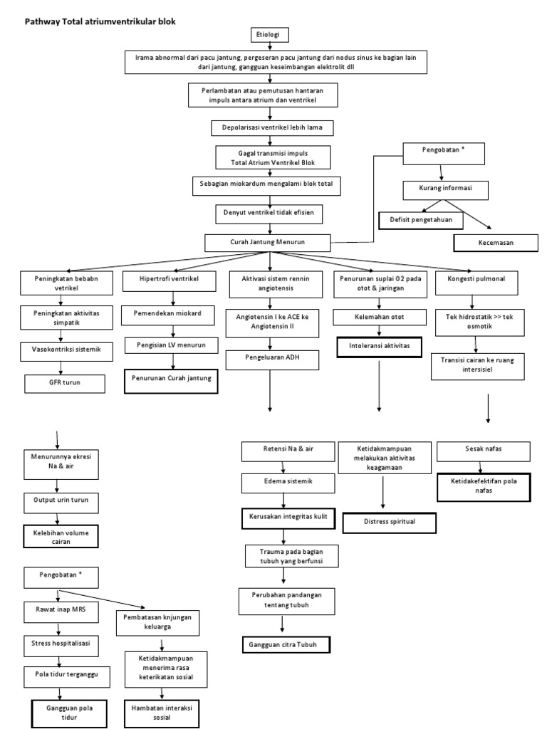 Patofis TAVB | PDF | Perjalanan | Griya & Taman