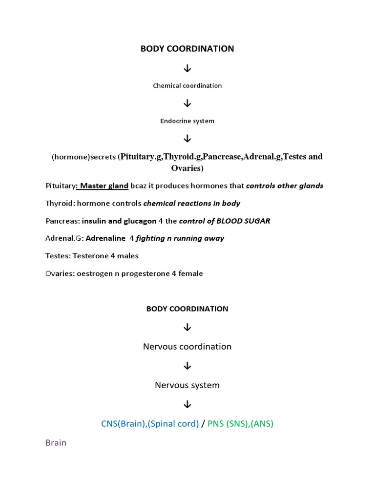 Body Coordination : Ovaries) | PDF