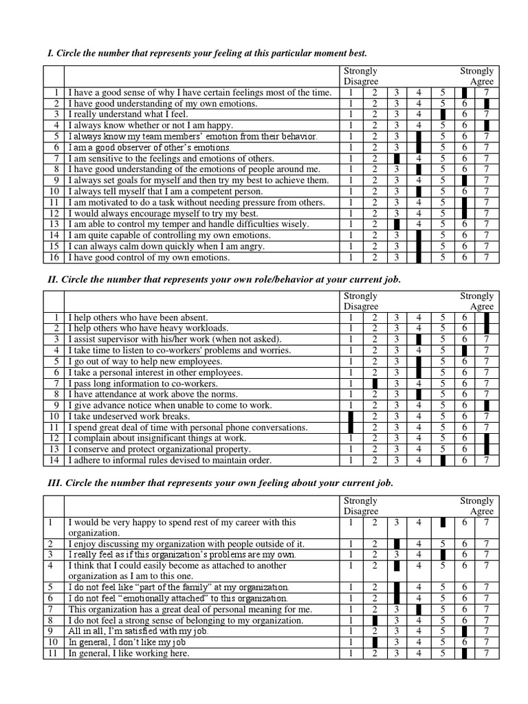 Questionnaire - MBA III - 1 | PDF | Survey Methodology | Emotions