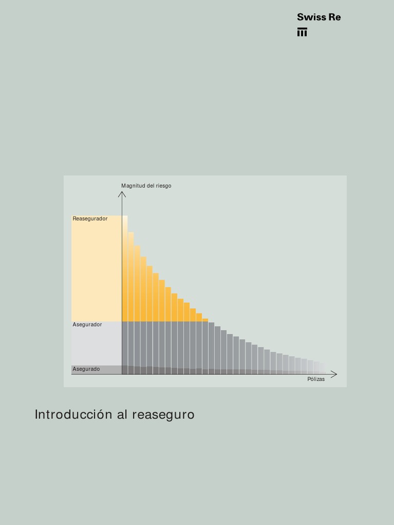 Swiss Re - Introduccion Al Reaseguro | PDF | Reaseguro | Póliza de seguros