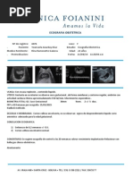 Carnet Del Embarazo | PDF