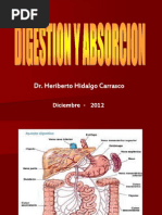 Digestion de Carbohidratos | PDF