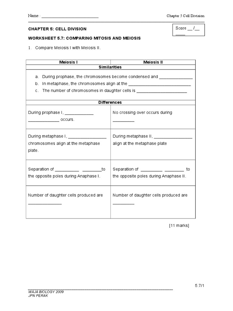 WORKSHEET 5.7 Comparing Mitosis and Meiosis | PDF | Meiosis | Mitosis