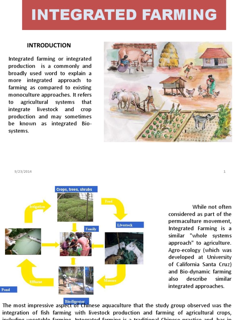 Integrated Farming | PDF | Beekeeper | Beekeeping