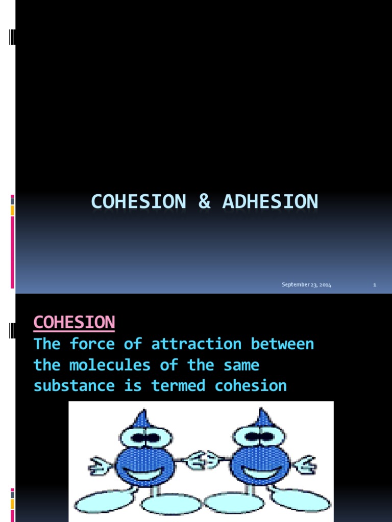 Understanding Cohesion and Adhesion | PDF | Science & Mathematics