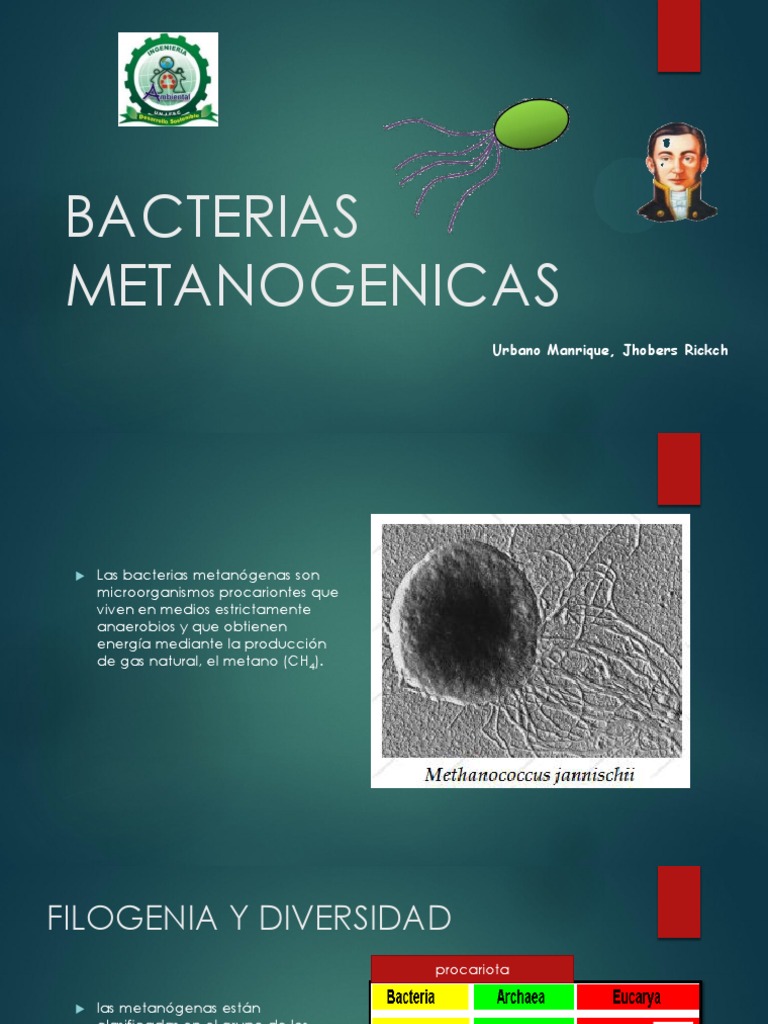 Bacterias Metanogenicas