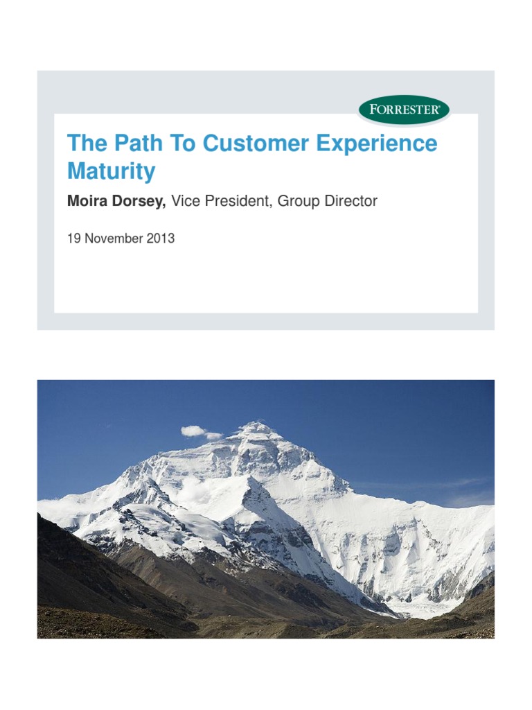Maturity Model | PDF | Customer Experience | Business