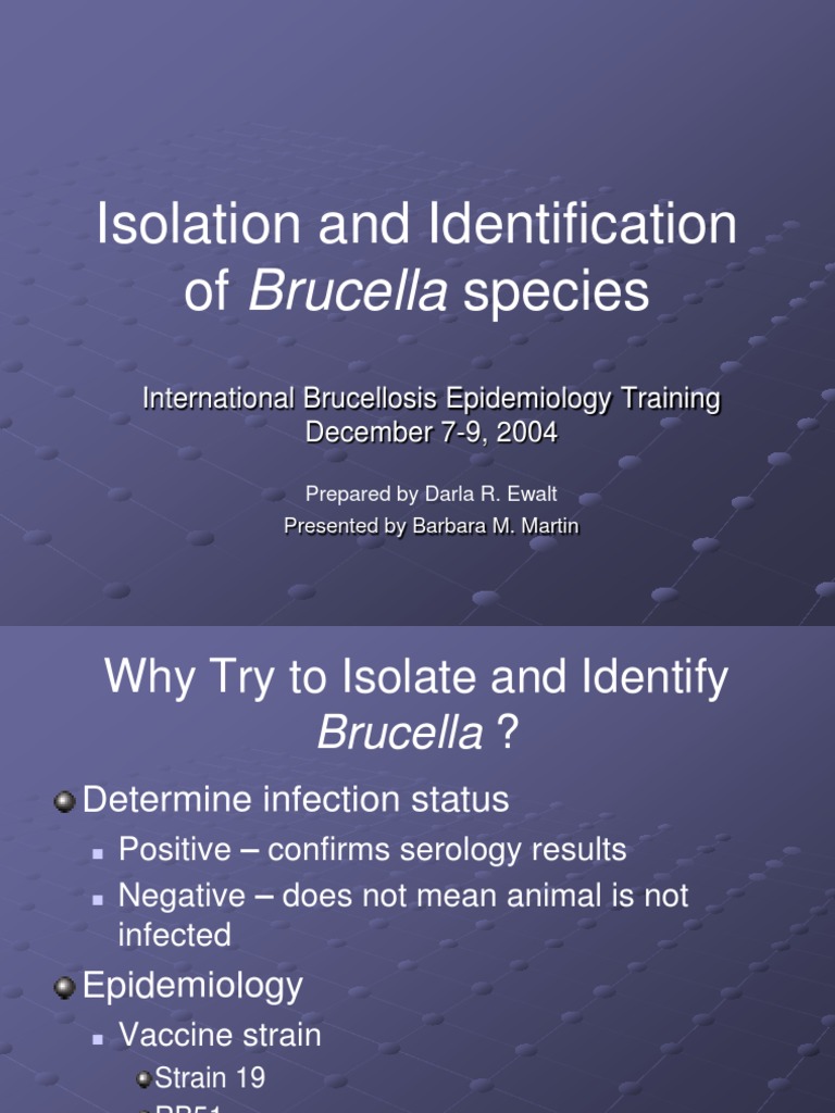 Isolation and Identification of Brucella species.ppt | Microbiology ...