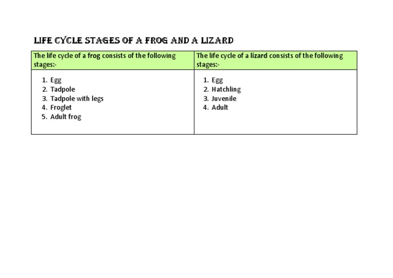 Frog and Lizard Life Cycle Stages | PDF
