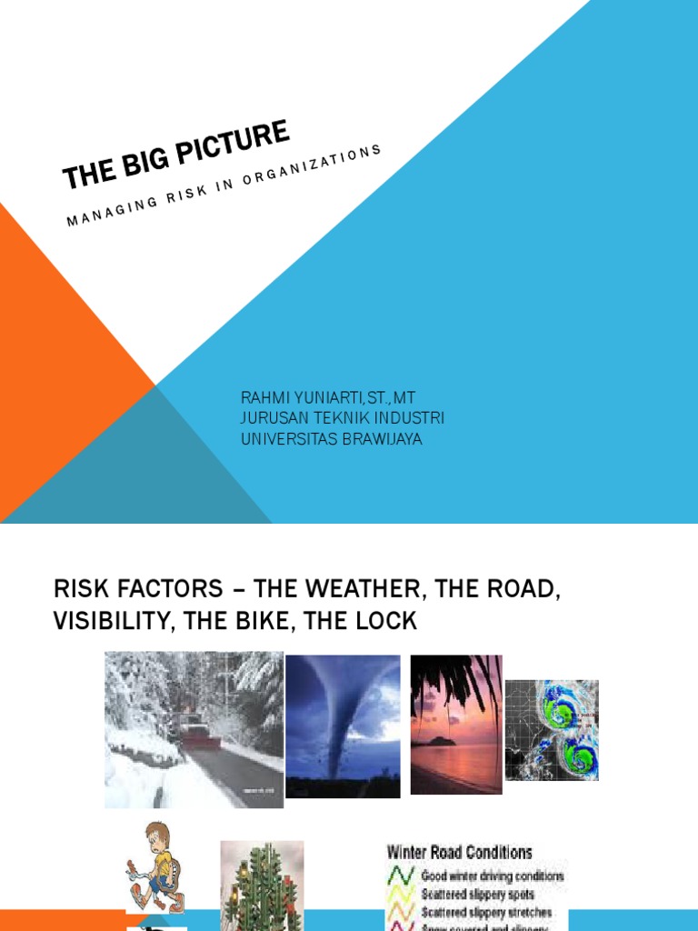 1-The Big Picture | PDF | Risk | Risk Management