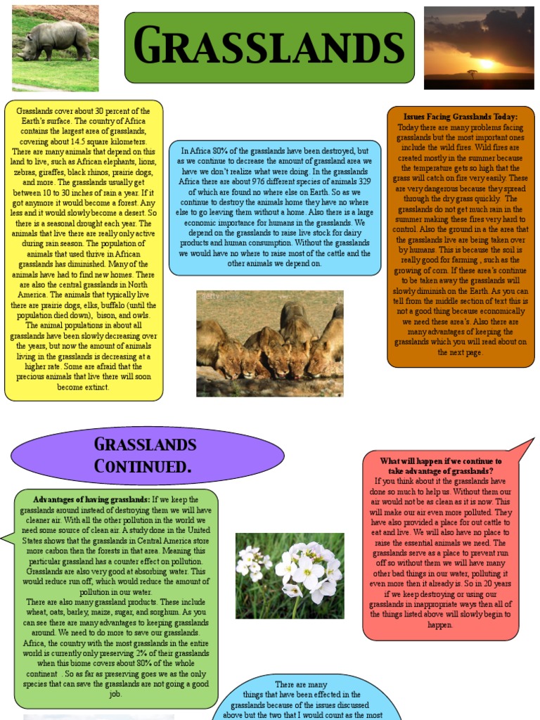 Grasslands Cover About 30 Percent of The Earth's Surface. The | PDF ...