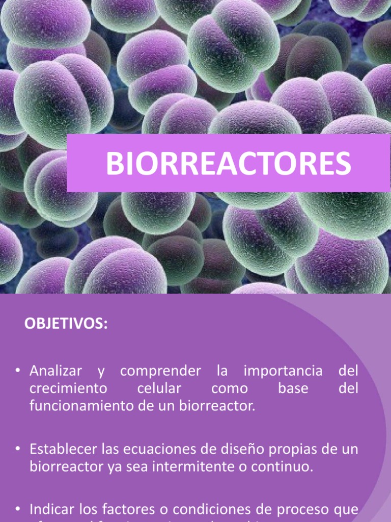 Biorreactores Diseño | PDF | Ciencias fisicas | Química
