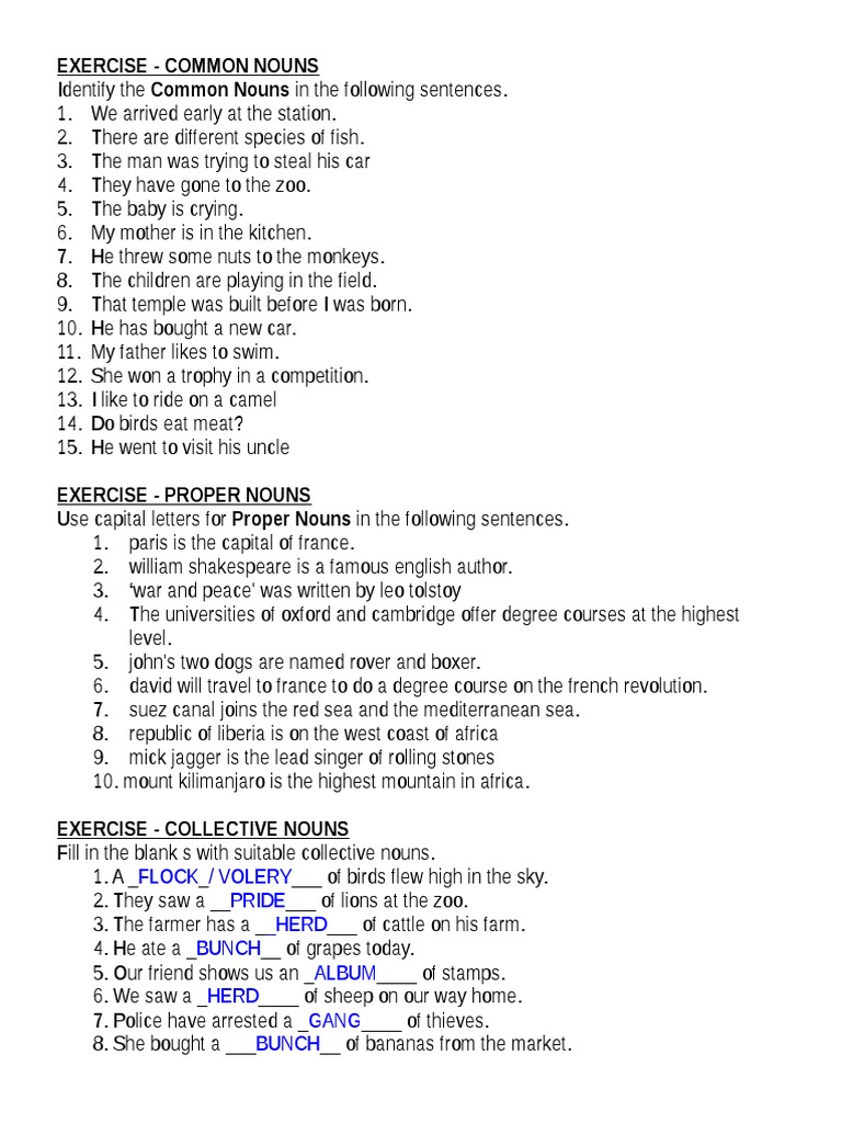 Noun Exercise | PDF | Syntactic Relationships | Grammar