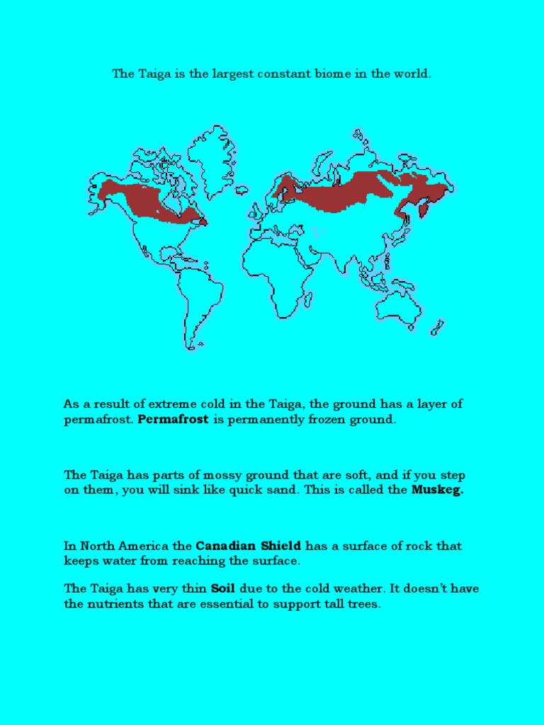 Understanding the Taiga Biome | PDF