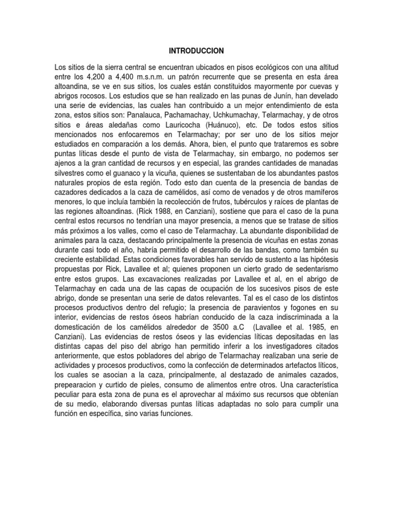 Las puntas líticas de Telarmachay: evidencia de la caza y ...