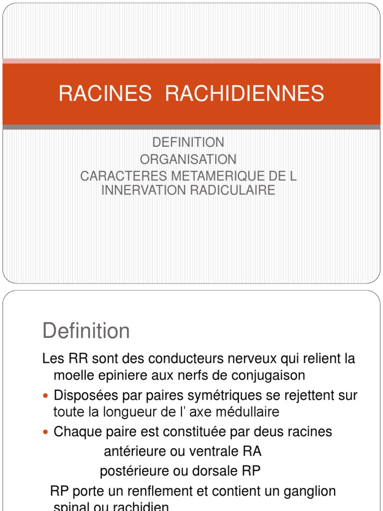 Racines Rachidiennes | PDF | Moelle épinière | Système nerveux