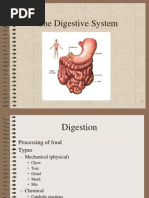 Blank 4 Panel Comic Strip | PDF | Biology | Digestive System