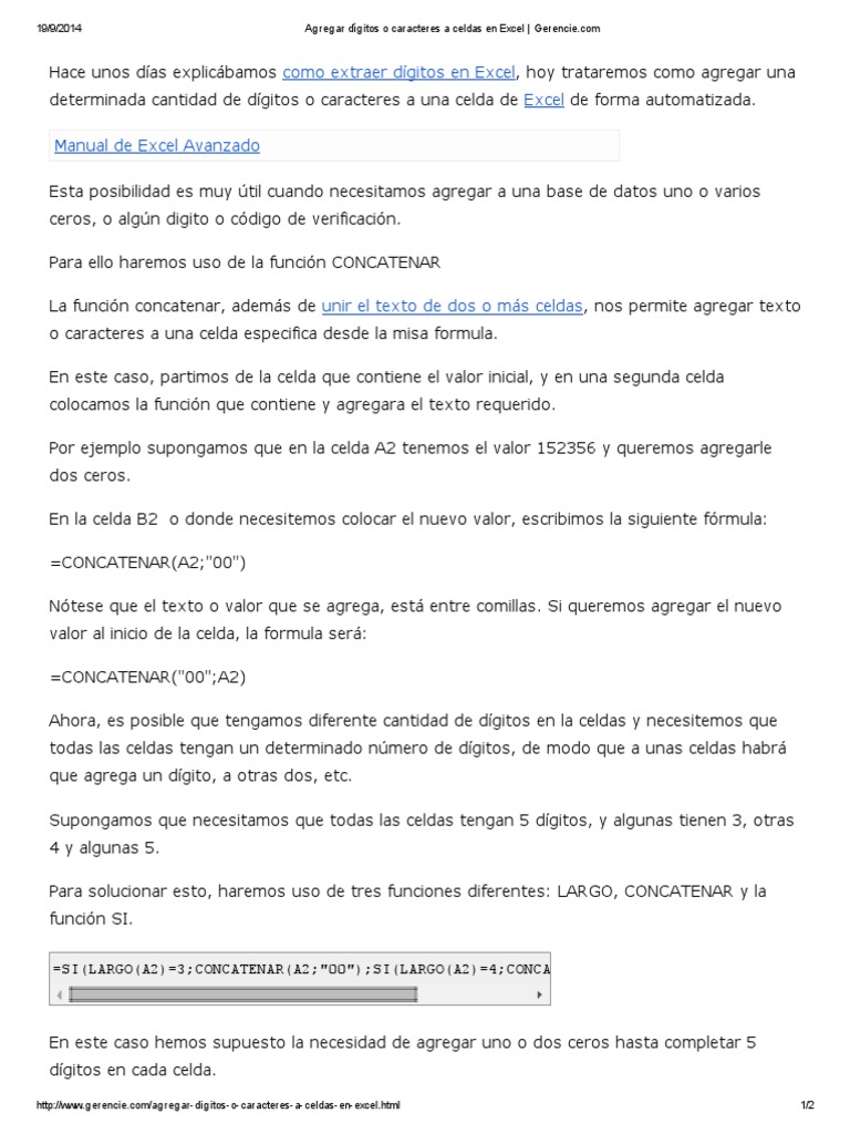 Agregar Dígitos o Caracteres A Celdas en Excel - Gerencie | PDF