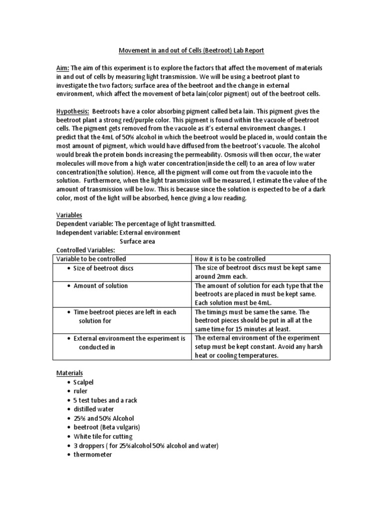 Beetroot Lab | PDF | Osmosis | Experiment