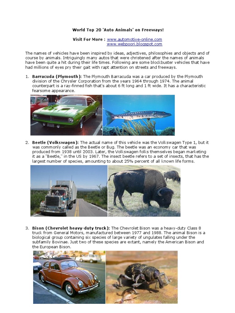 To 20 Best Automotive Cars and Their Animal Names | PDF | Dodge | Ford ...