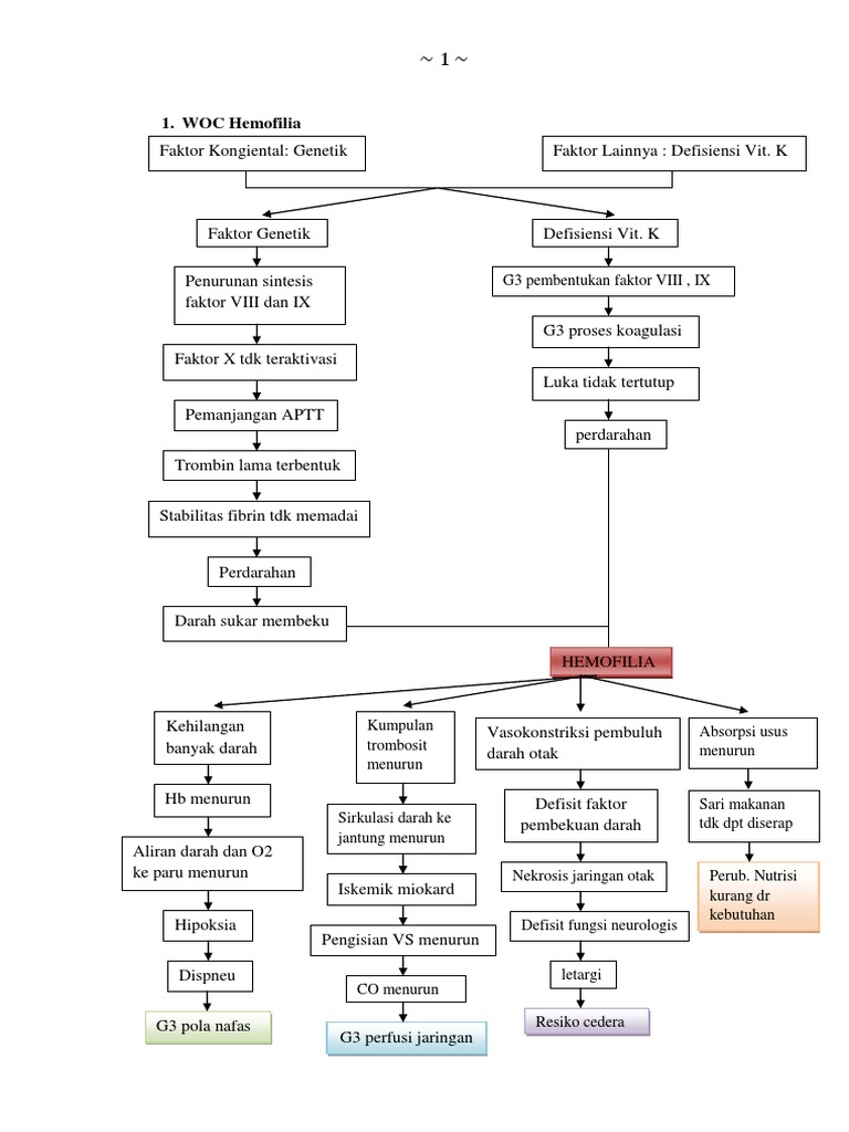 WOC Hemofilia | PDF | Sains & Matematika