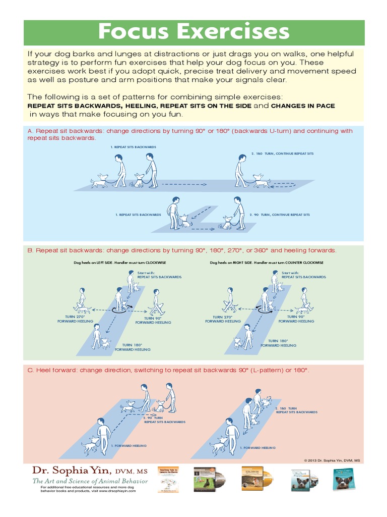 Dr. Sophia Yin's Focus Exercises | Animals And Humans | Transport