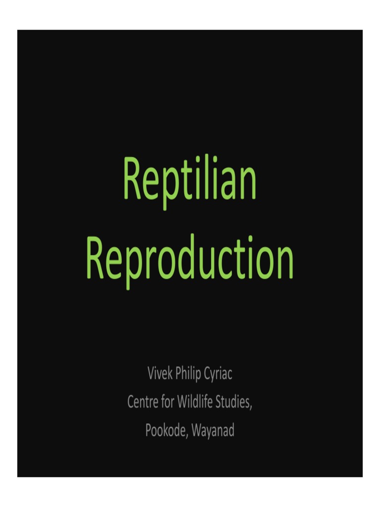 Reptile Reproduction | PDF | Ovary | Developmental Biology