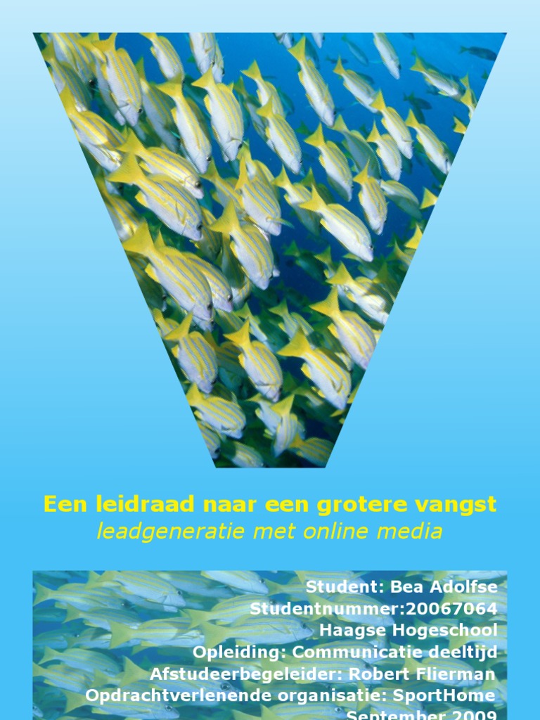 Scriptie Bea Adolfse Lead Generatie Online Media (Dutch Version) | PDF