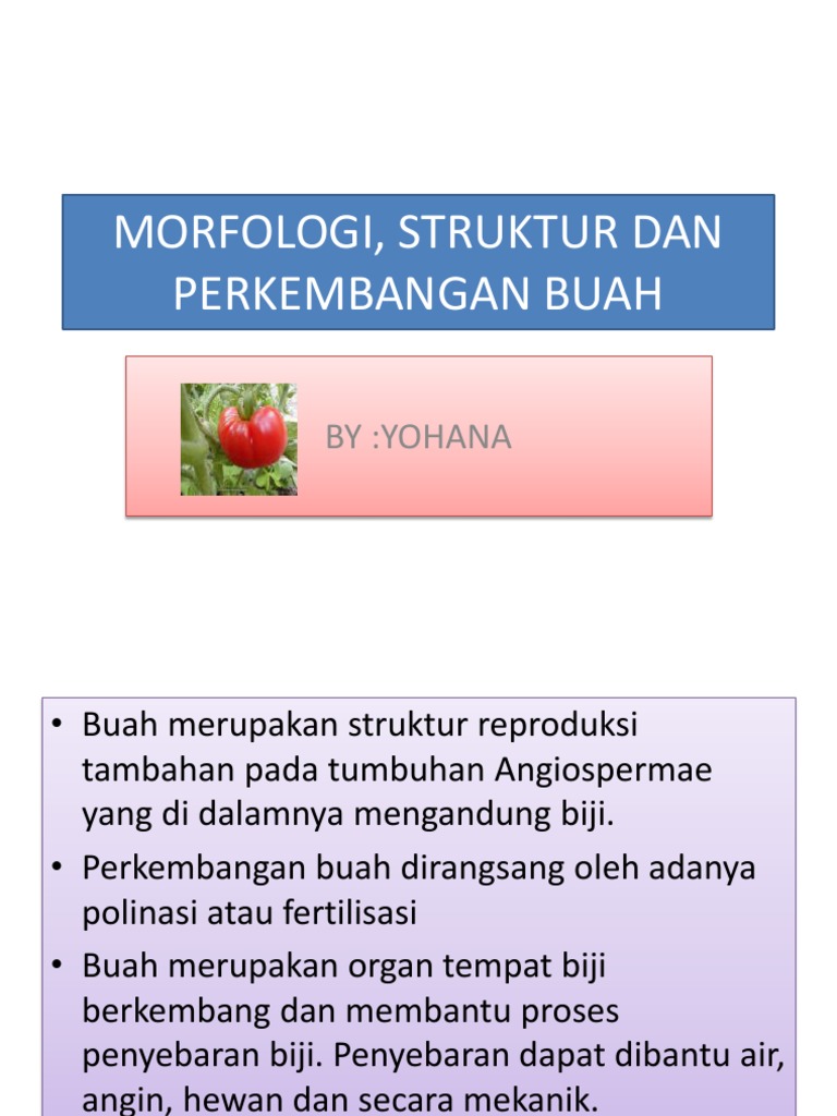 Morfologi dan Perkembangan Buah | PDF | Griya & Taman | Kesehatan Holistik