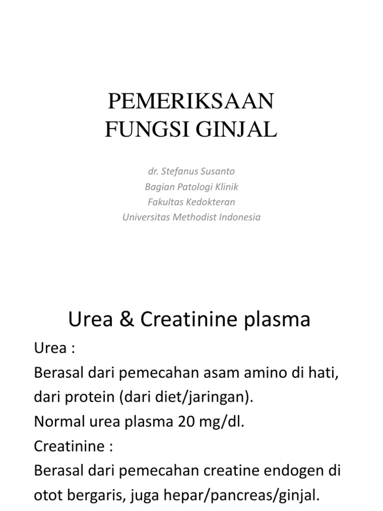 Pemeriksaan Fungsi Ginjal | PDF