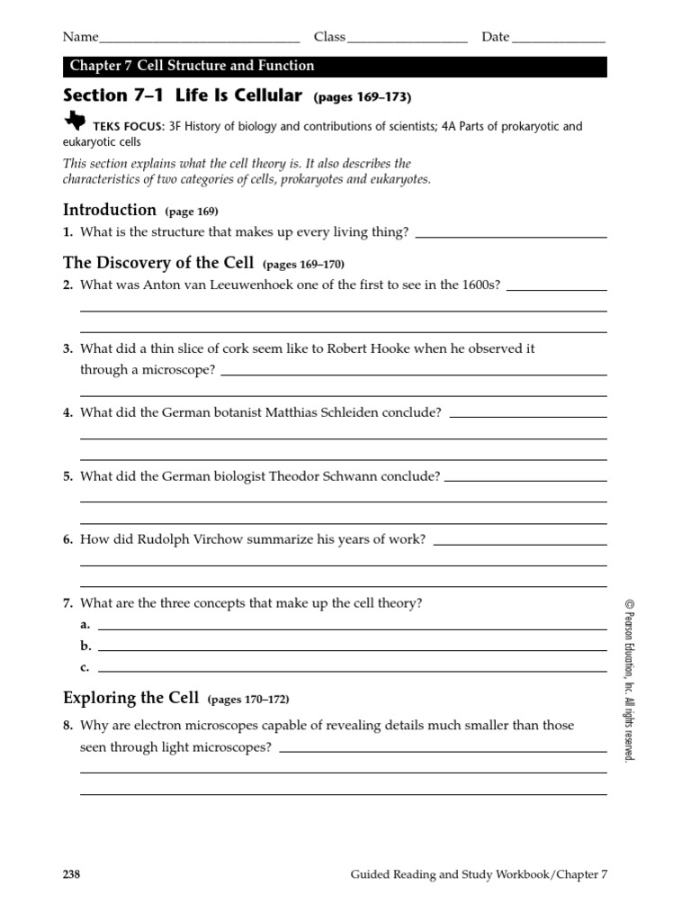 Chapter 7.1 CELLS Worksheet | PDF | Cell (Biology) | Eukaryotes