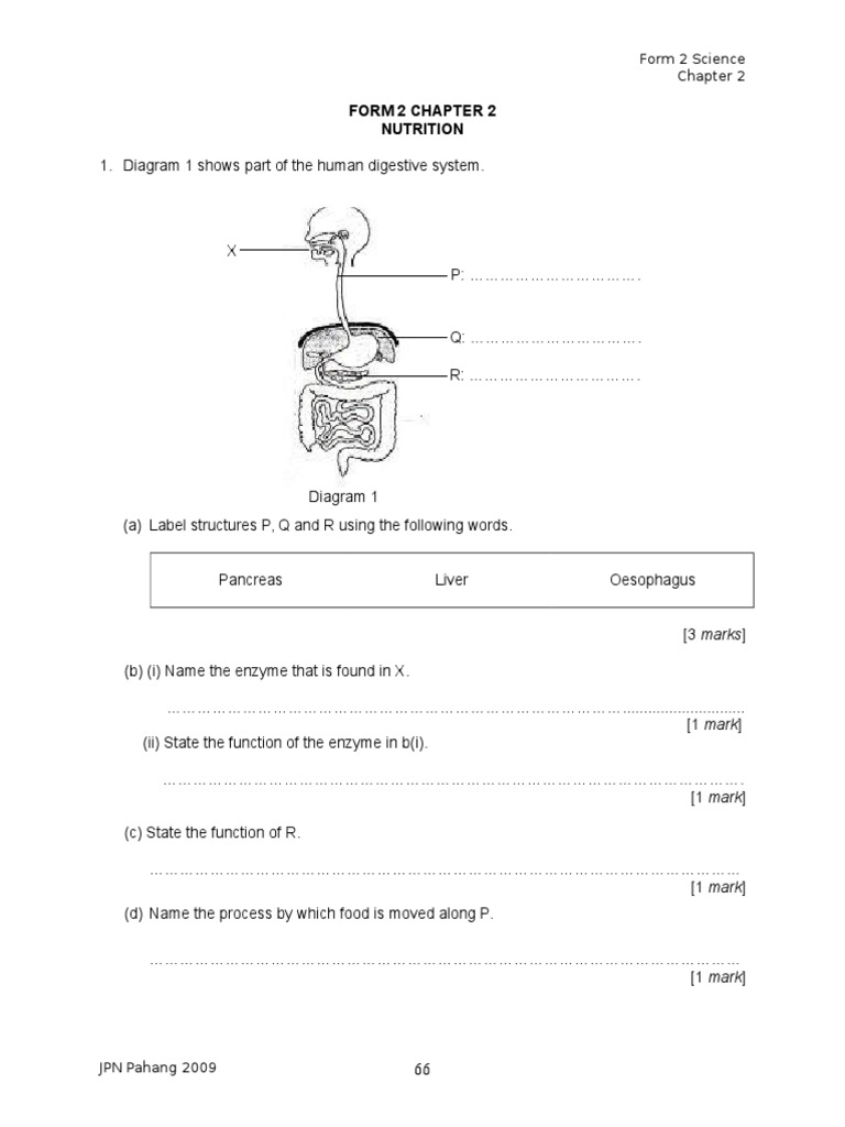 Form 2 Chapter 2 Exercises | PDF | Determinants Of Health | Biology