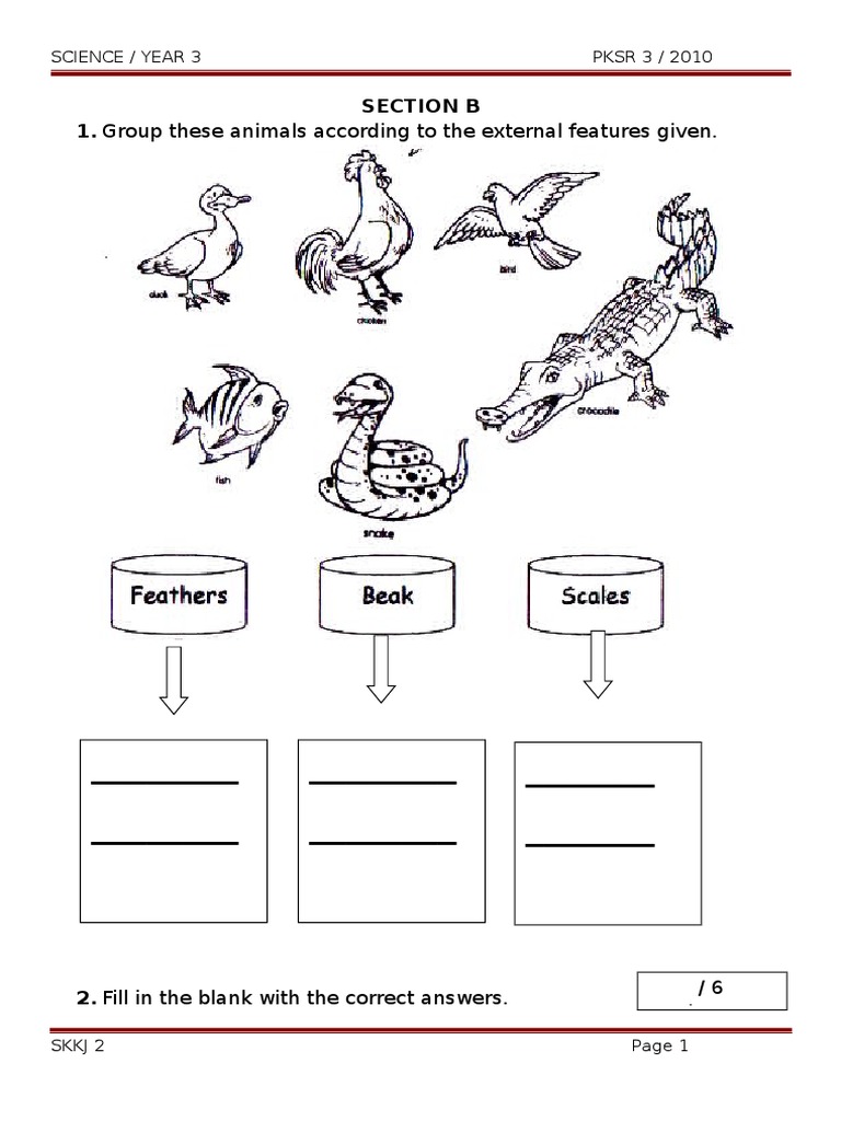 Year 3 Science Activity Guide | PDF | Teaching Methods & Materials ...