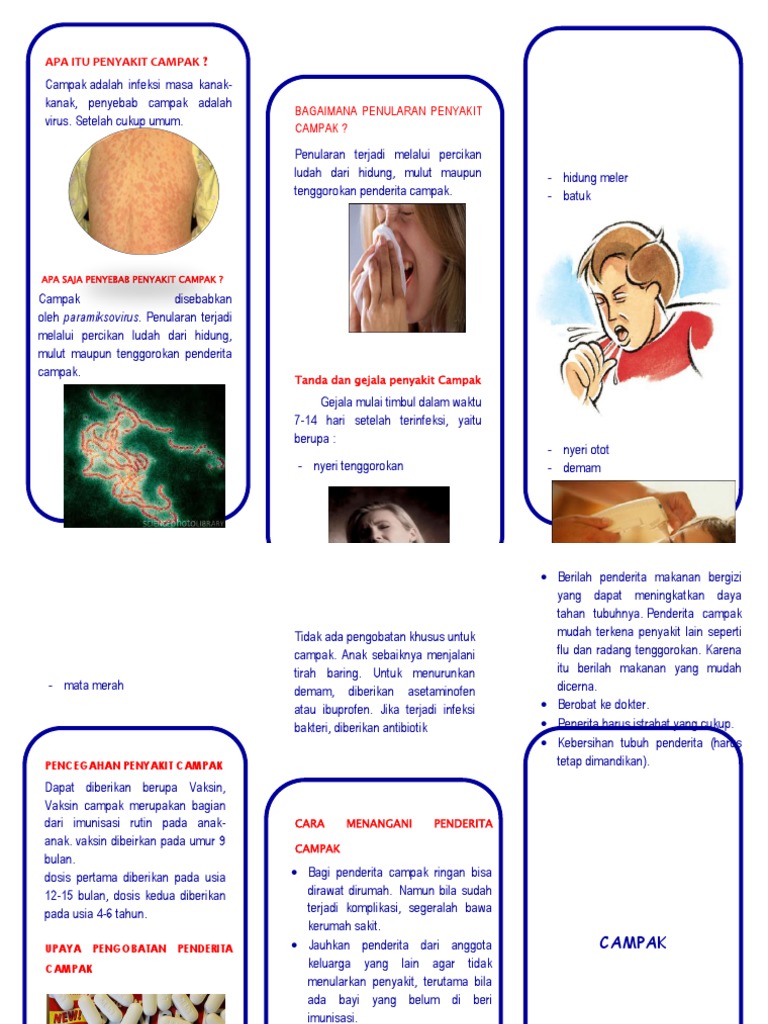 Leaflet Campak | PDF