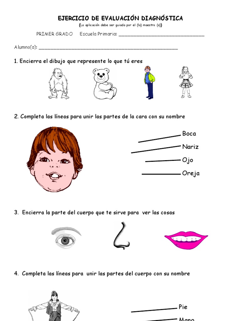 Evaluación Diagnóstica. Primer grado