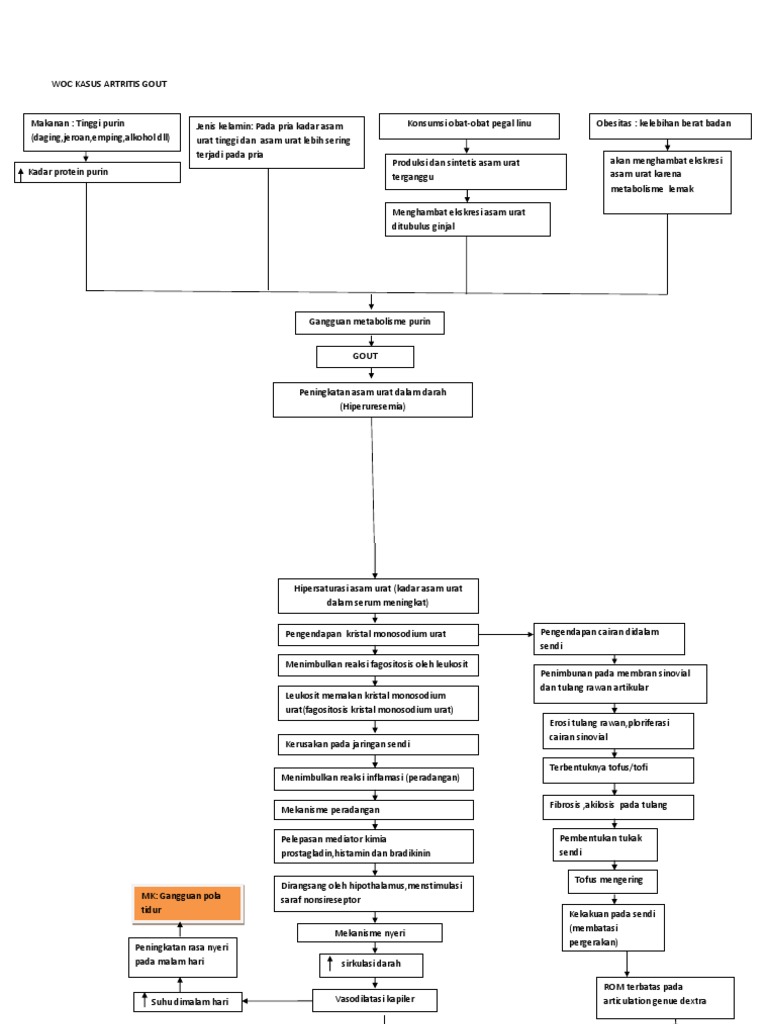 Woc Kasus Artritis Gout | PDF