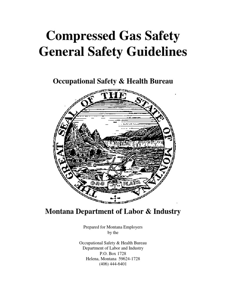 Compressed Gas Safety Guidelines | PDF