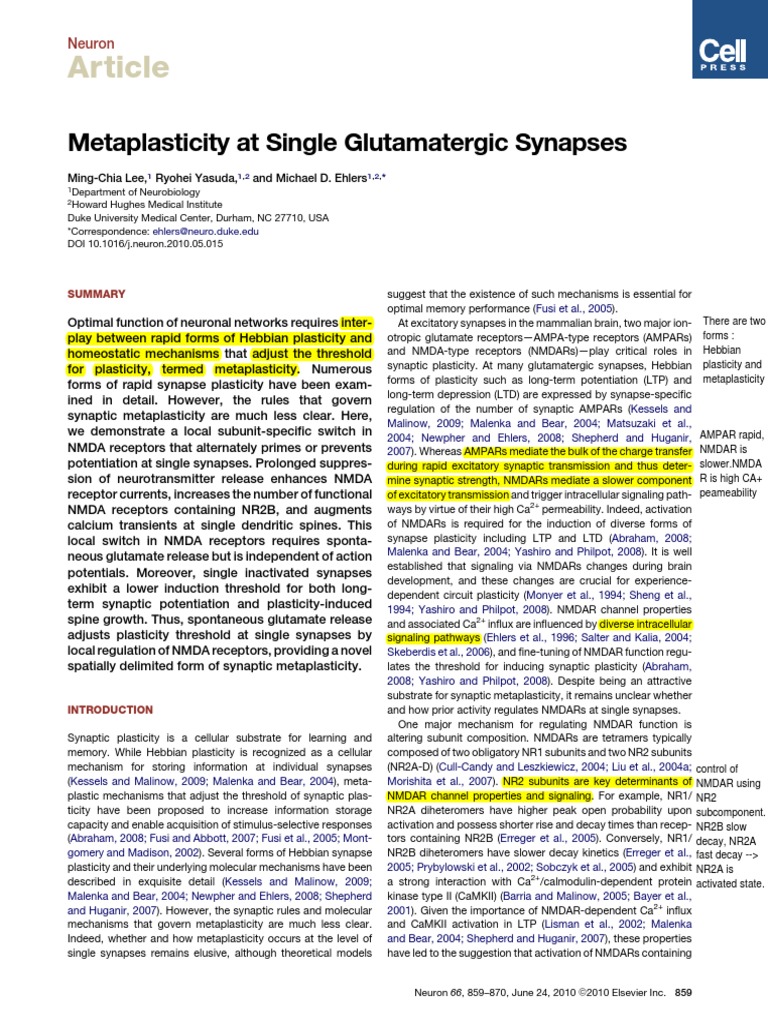 Lee Ehlers Neuron 2010 | PDF | Synaptic Plasticity | Chemical Synapse