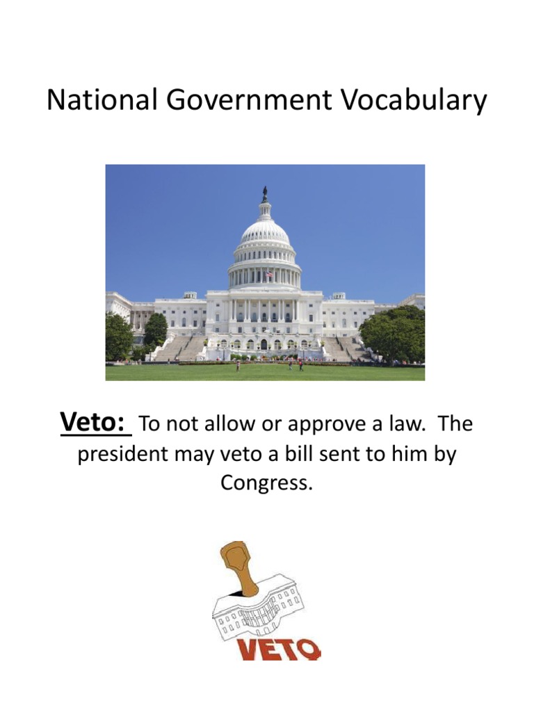 National Government Vocab | PDF | Politics | Social Science