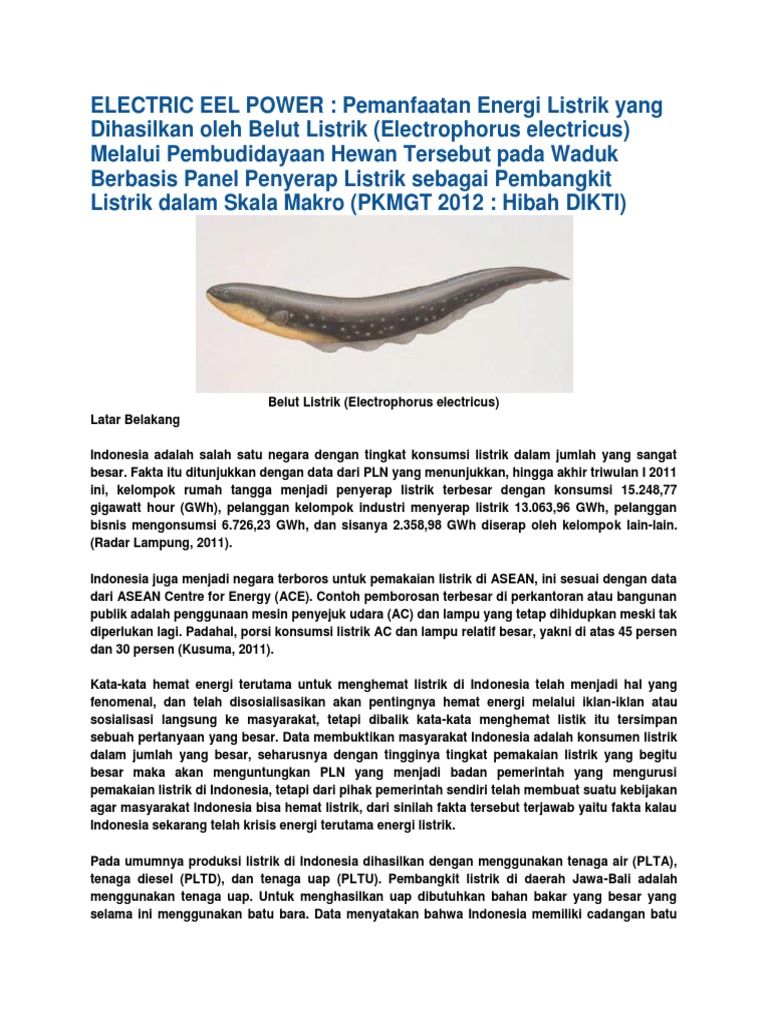 Electric Eel Power | PDF