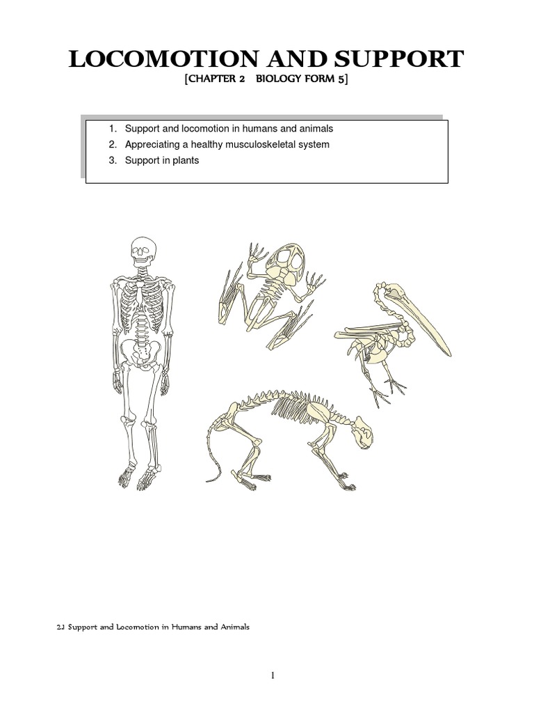 Locomotion and Support: (Chapter 2 Biology Form 5) | PDF | Skeleton ...