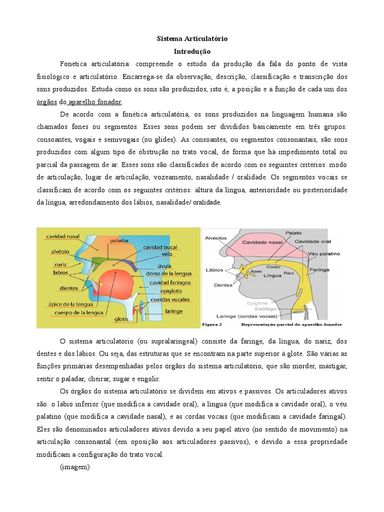 Sistema Articulatório | Download grátis PDF | Canto | Boca