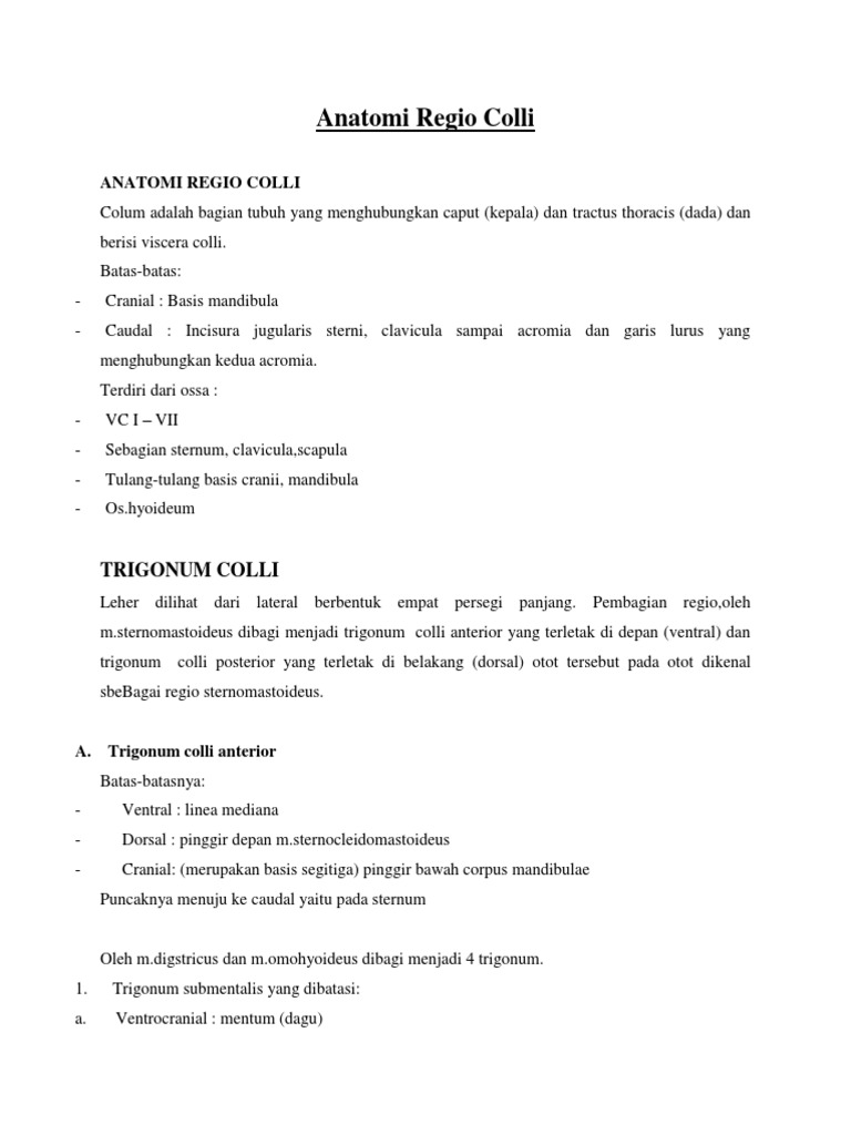 Anatomi Regio Colli | PDF