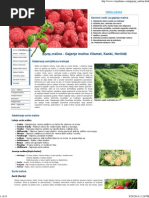 Ruze Topalovic Katalog | PDF