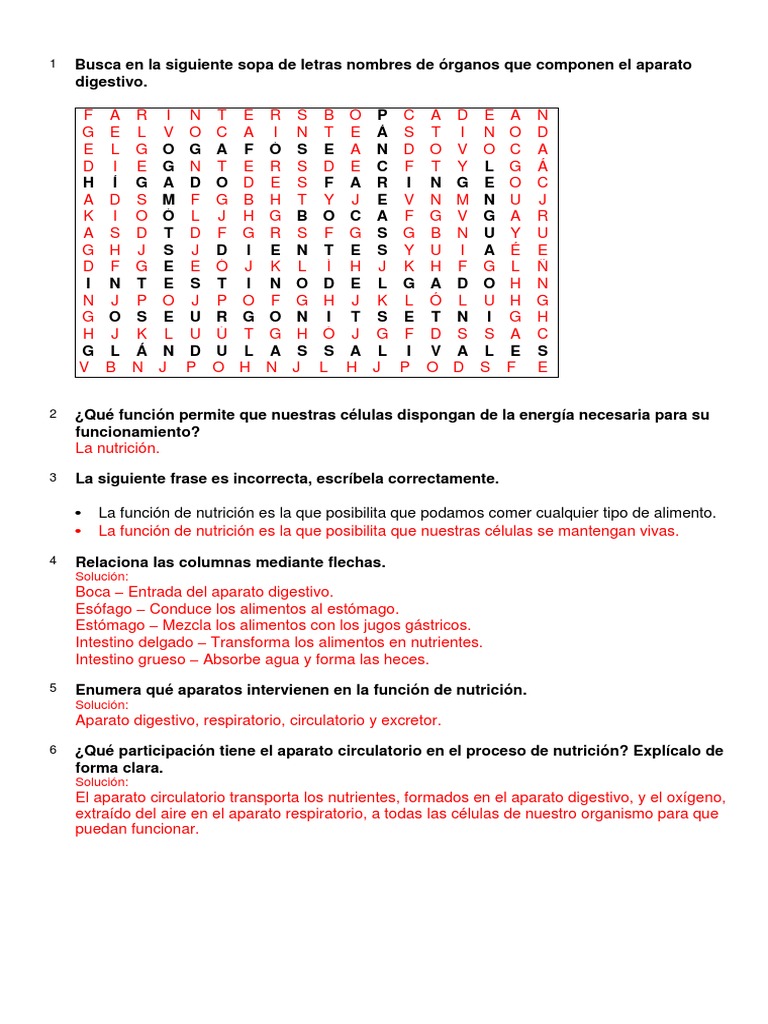 CONO TEMA 5 Soluciones | PDF
