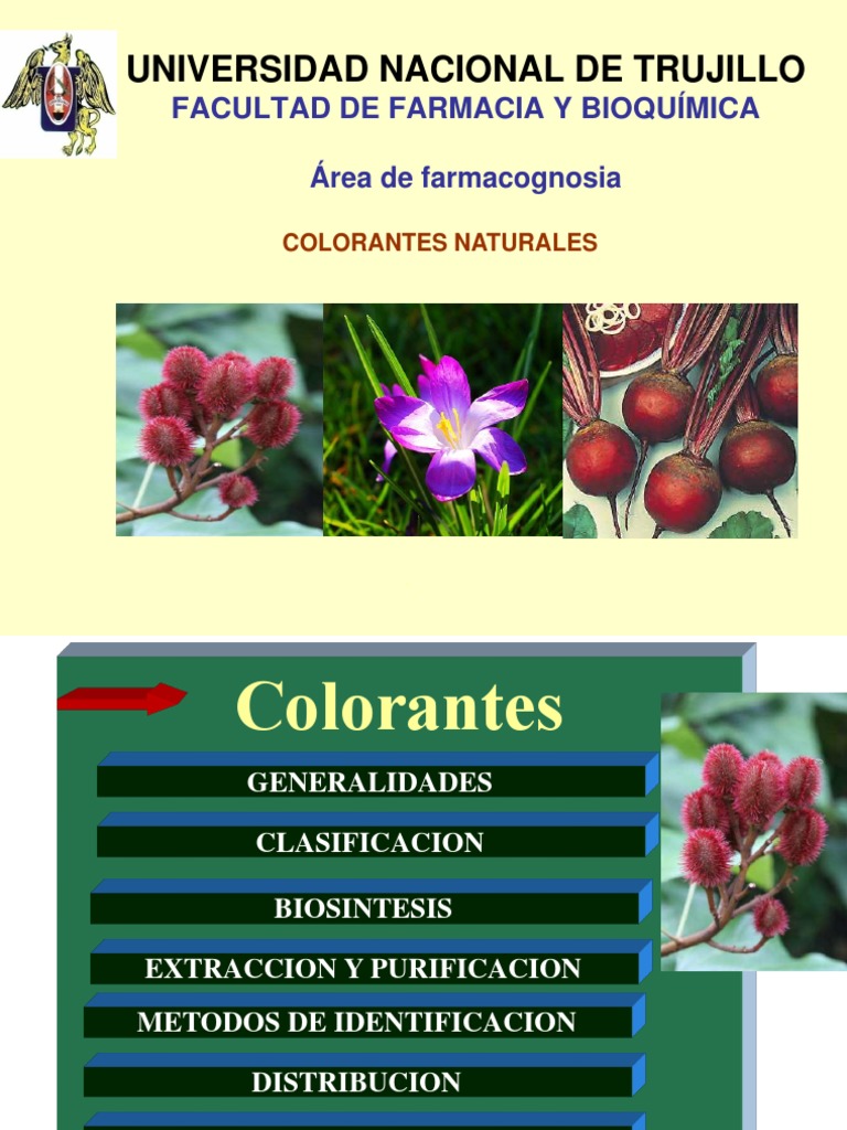 Colorantes Naturales 2014 | PDF | Cúrcuma | Alimentos