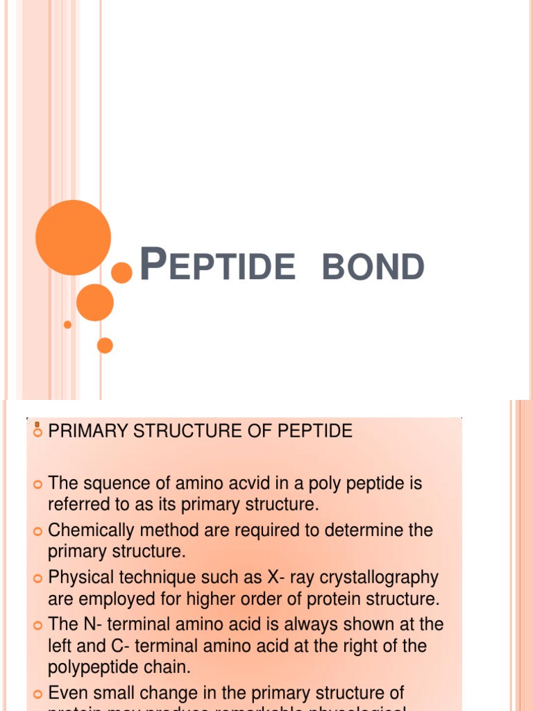 Peptide Bond | Alpha Helix | Beta Sheet