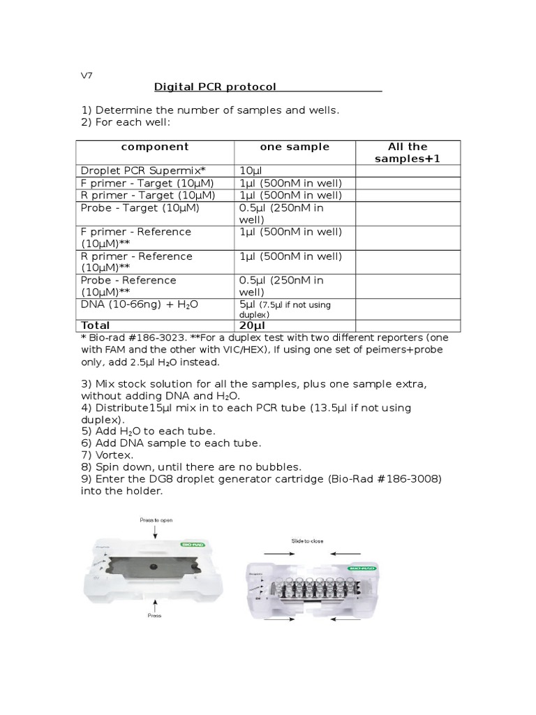 Digital PCR Protocol | PDF | Polymerase Chain Reaction | Primer ...